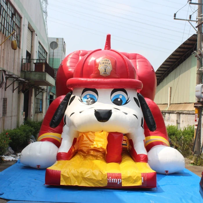 Inflatable Slide Bounce House - Chinflatables